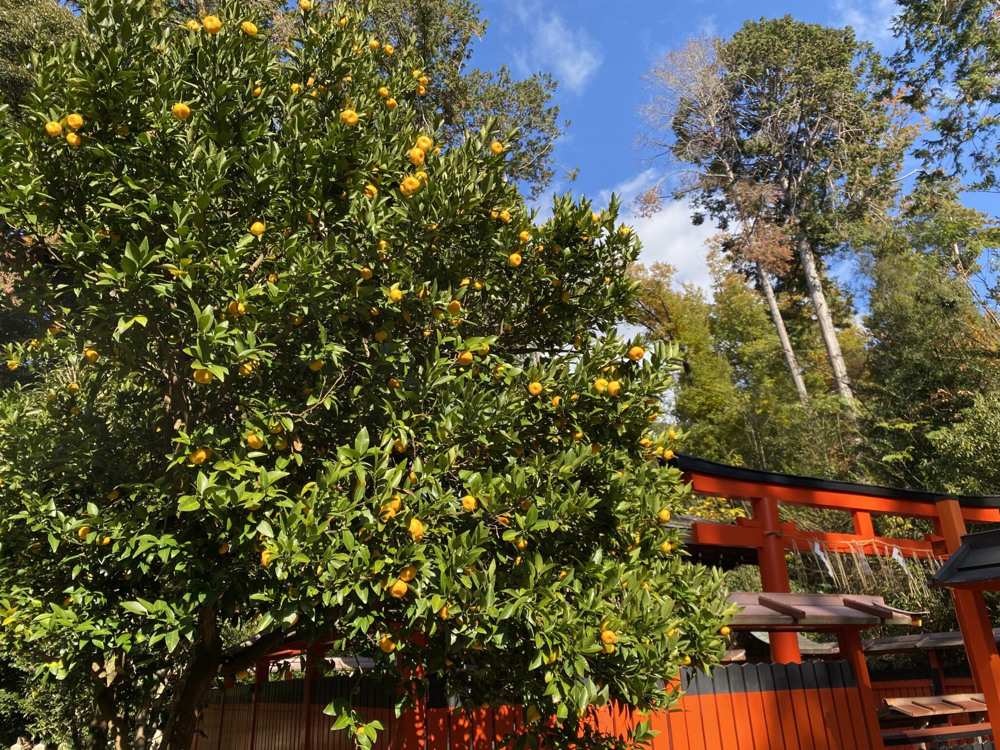 お菓子の神様 菓祖神社 The God of Sweets | 京都市東山区。コンシェルジュ付き貸切りヴィラ｜宮川町ほとり